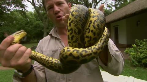 Welcome To The BBC Earth Channel