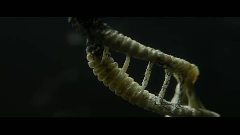 David A.I - Prometheus Covenant