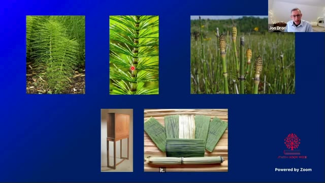 Around the World in 80 Plants