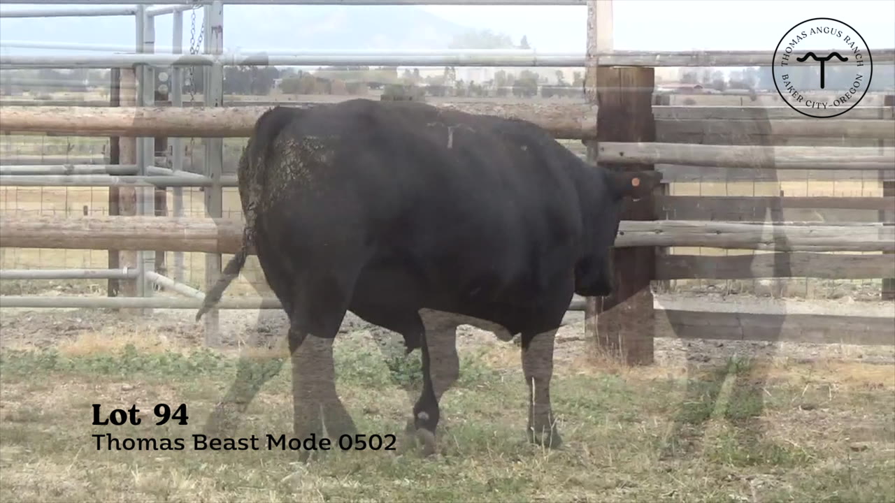 Lot 094 Baker Fall Sale 2021