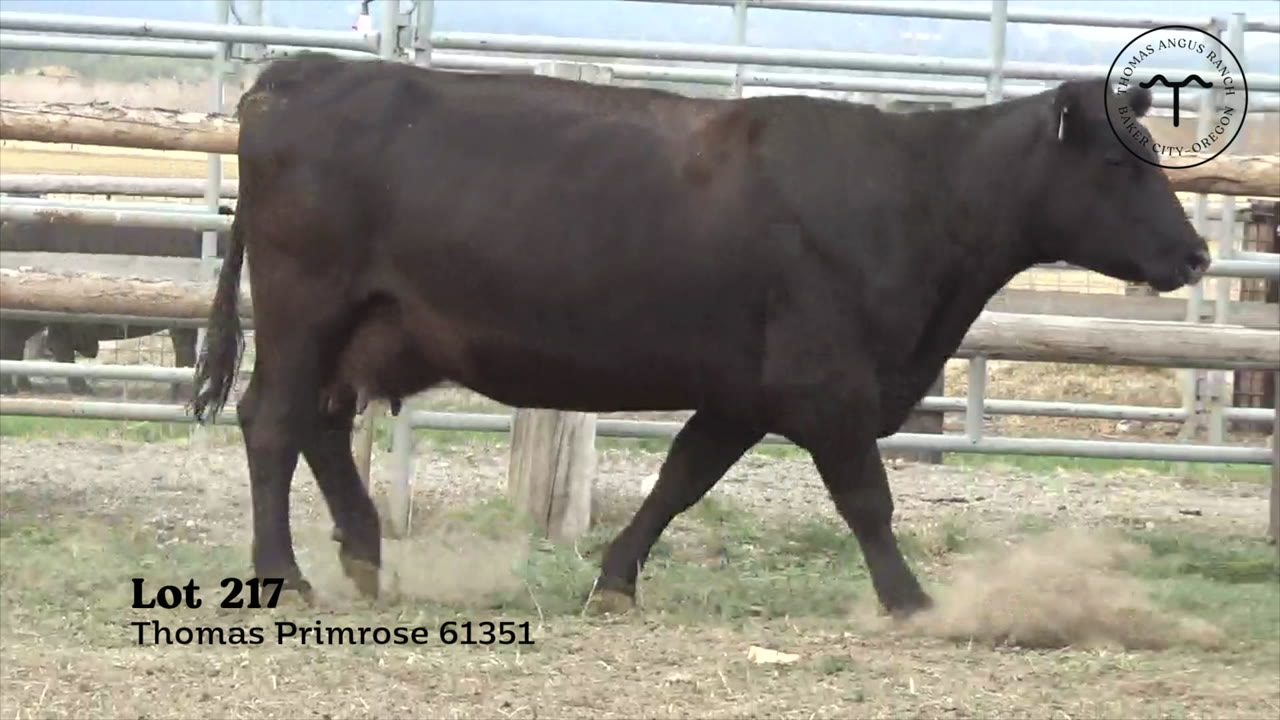 Lot 217 Baker Fall Sale 2021