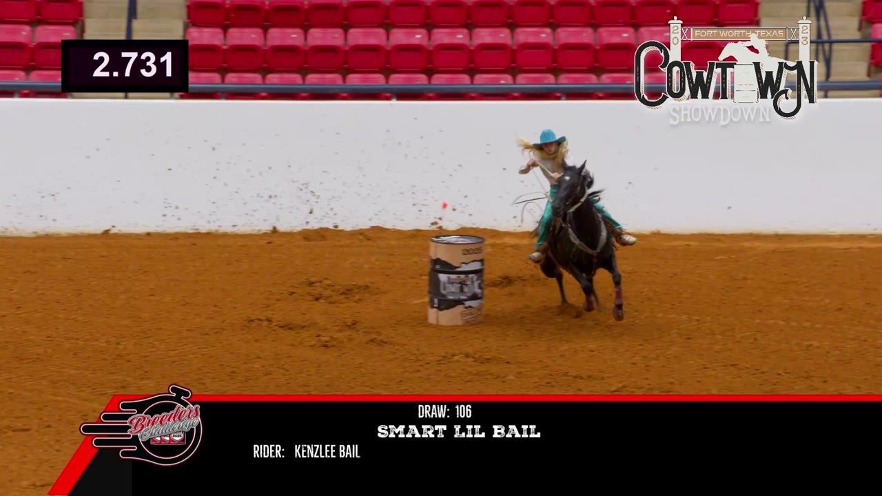 Smart Lil Bail