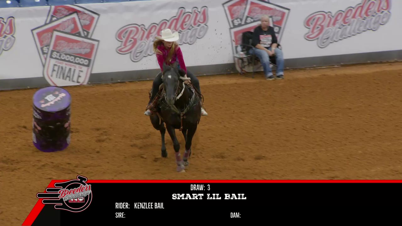 Smart Lil Bail